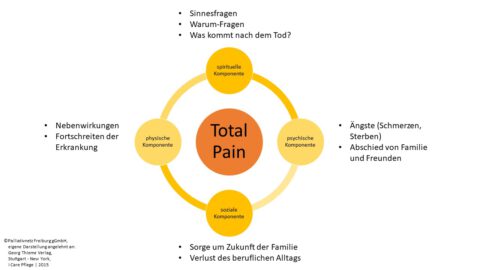 Total-Pain-Konzept | Palliativlexikon Freiburg