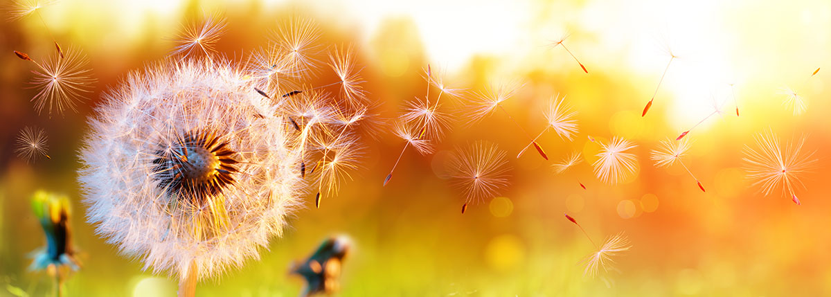 Total-Pain-Konzept | Palliativlexikon Freiburg